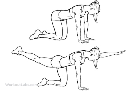 How To Do An Upper Body & Core Workout With Just Your Bodyweight